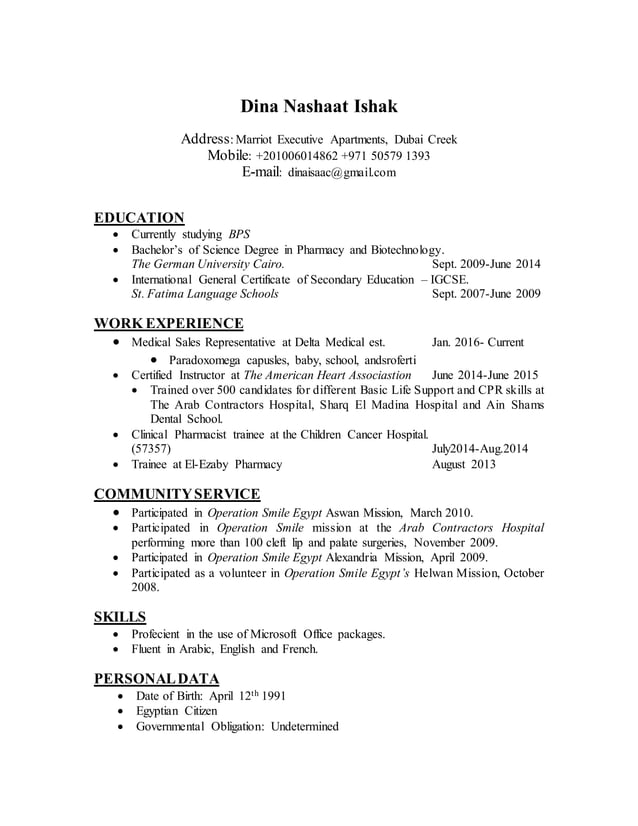 dina cv no pic | PDF