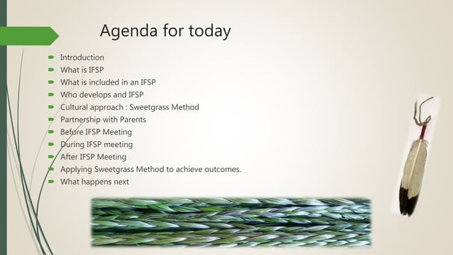 Writing an Individual Family Service Plan for your | PPT