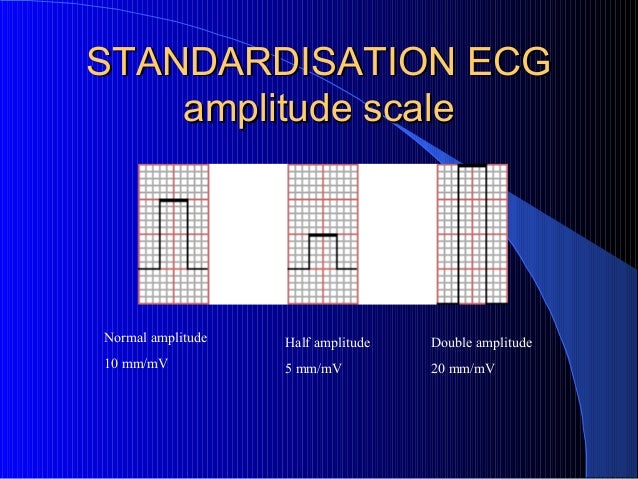 Standardization Marks