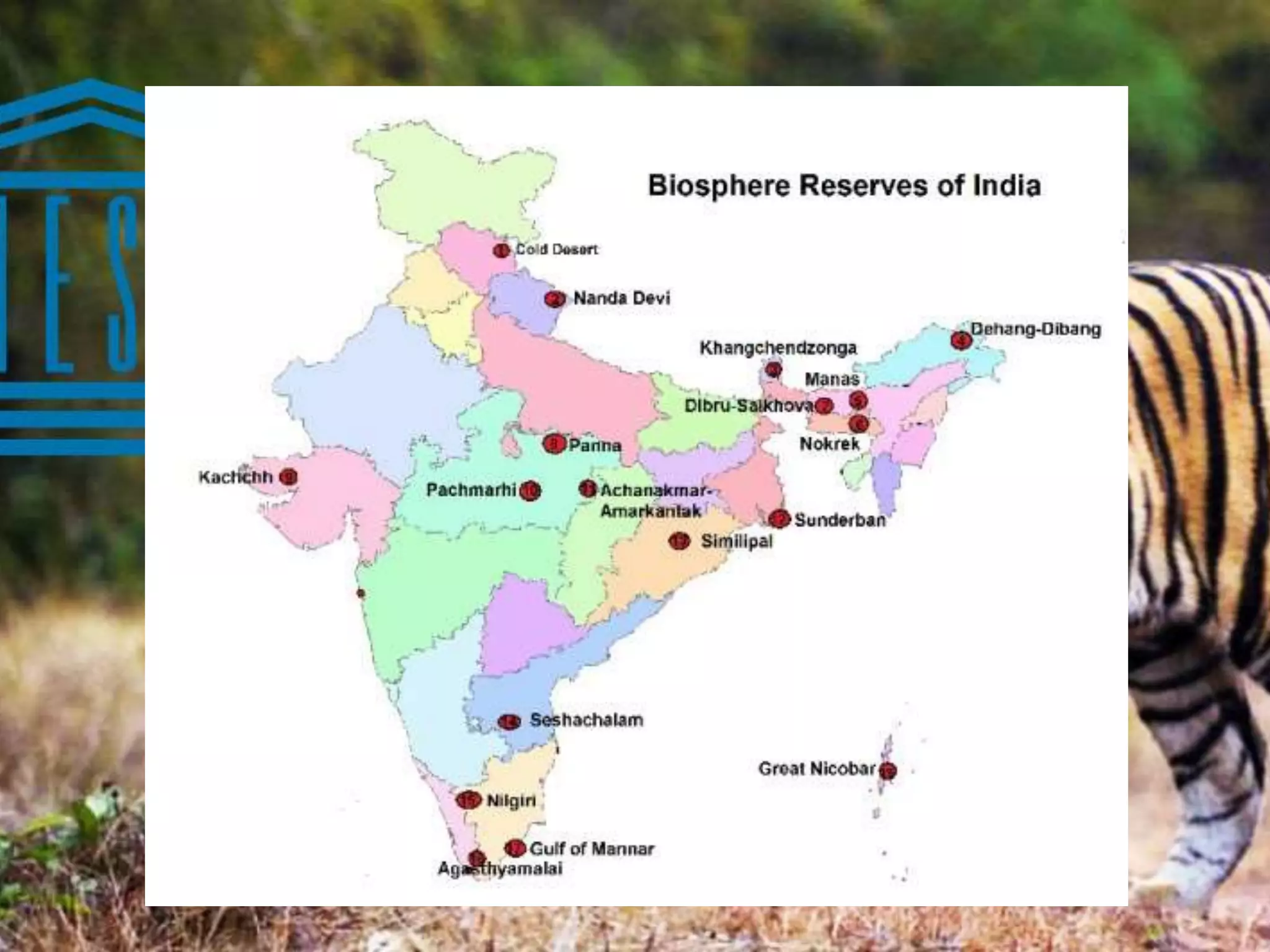 man and biosphere (MAB) | PPTX