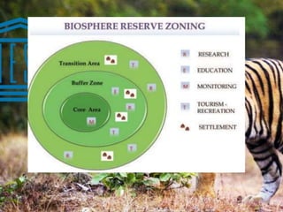 man and biosphere (MAB) | PPTX