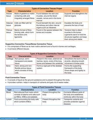 tissues (class- 9th notes) | PDF