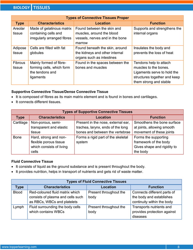 tissues (class- 9th notes) | PDF
