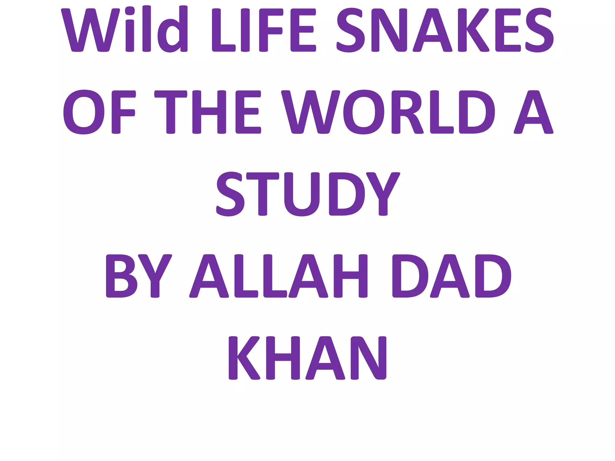 59.wild life snakes of the world a study A Presentation By Mr. Allah ...