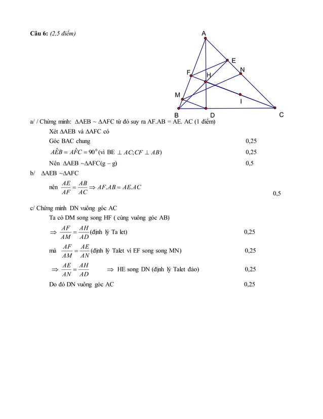 Đề Thi HK2 Toán 8 - THCS - THPT Hai Bà Trưng | PDF