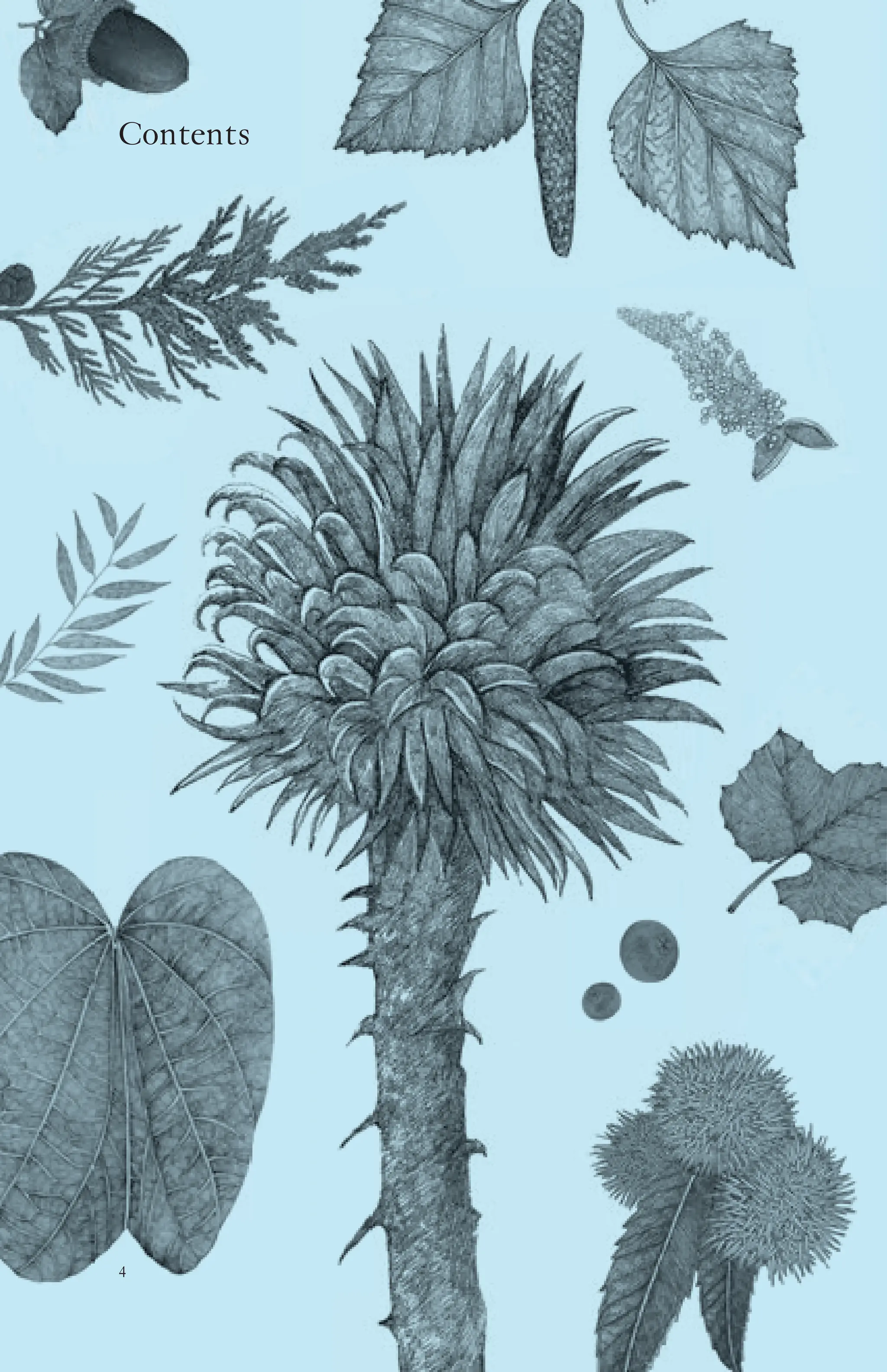 Around The World In 80 Trees Jonathan Drori | PDF