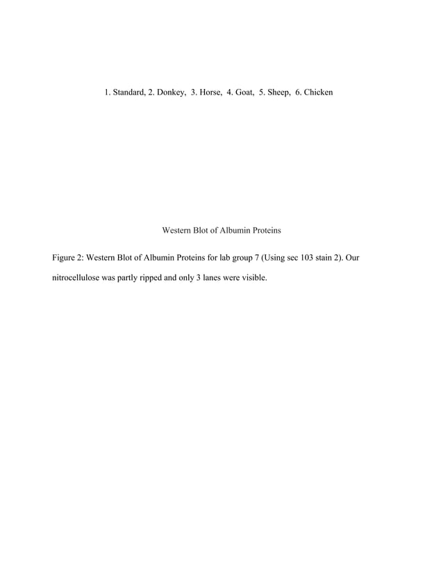 western blot report | PDF