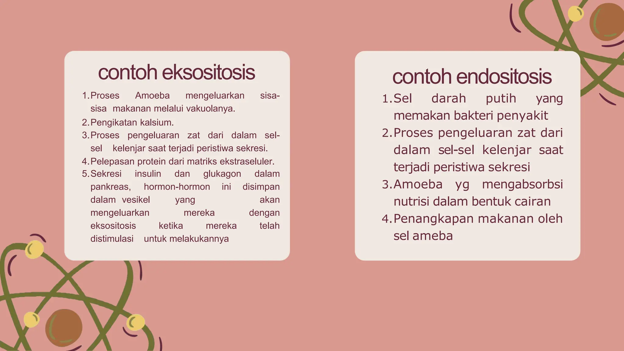 590532508-tRanspor-membran-sel.pptx Kelas 11 | PPTX