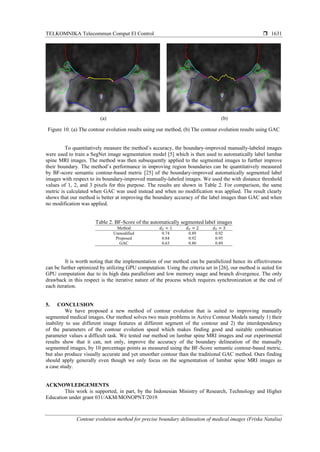 Contour evolution method for precise boundary delineation of medical images | PDF