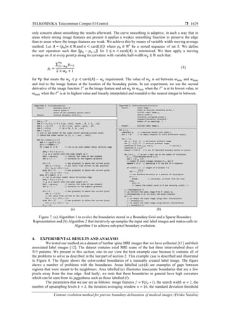 Contour evolution method for precise boundary delineation of medical ...