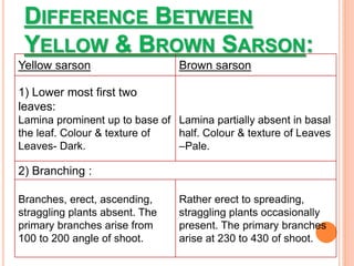 5915.pptx | Gardening | Home & Garden