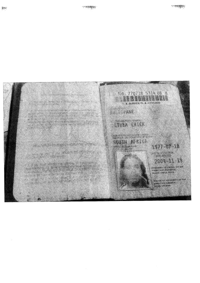 Letuba Erick Raliopane's cv | PDF