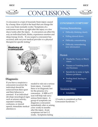 Concussion_Flyer | DOC | Physical Therapy | Wellness