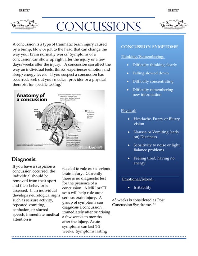 Concussion_Flyer | DOC | Physical Therapy | Wellness