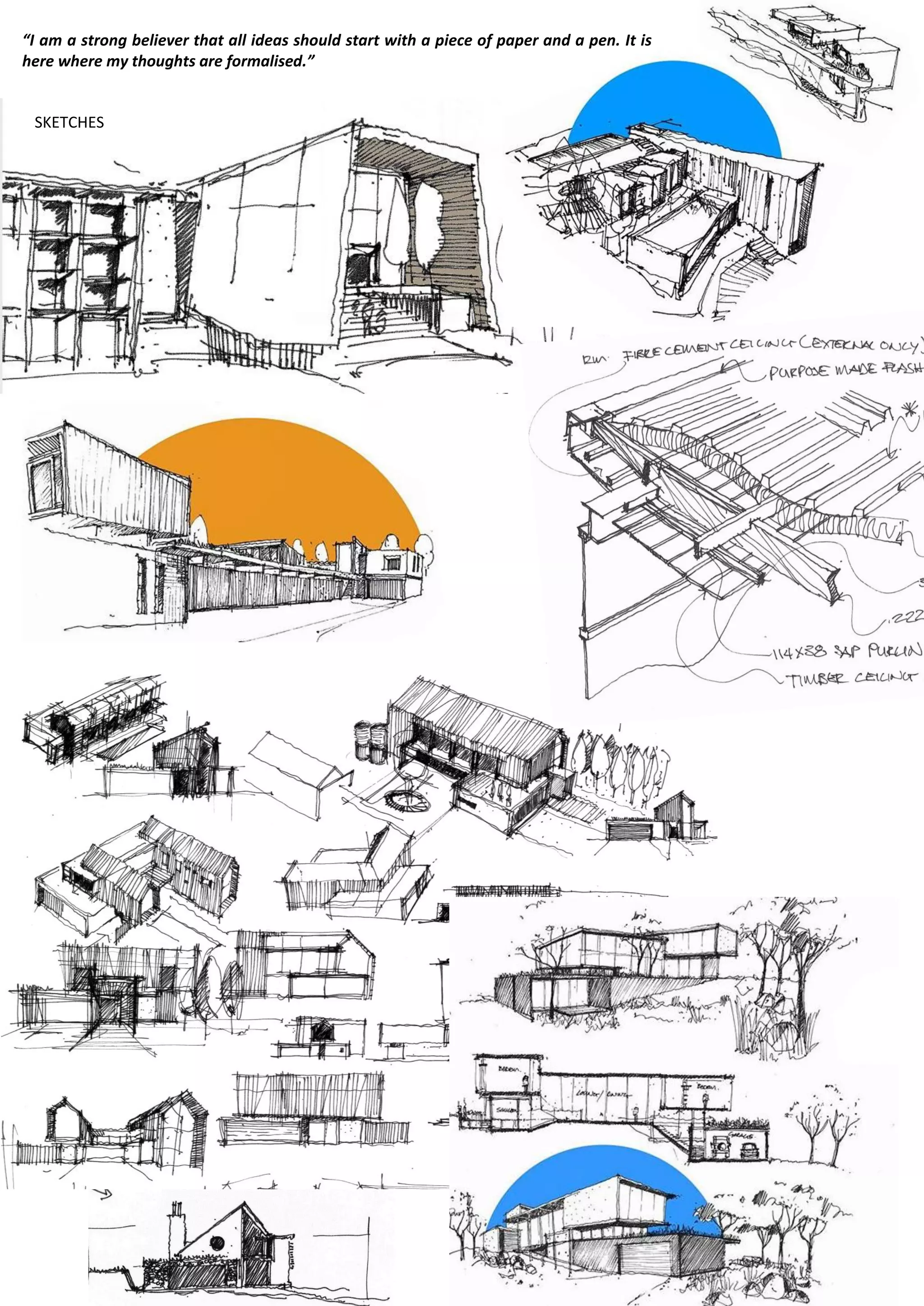 danie steenkamp CURRICULUM VITAE (1) | PDF