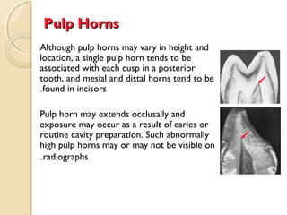 59543314 root-canal-anatomy-lecture-by-dr-hatem-al-hadainy-am cofam (1 ...