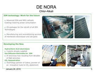 Job experience in De Nora | PPT