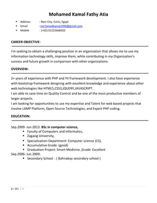 Mohamed Kamal's CV | PDF | Web Design and HTML | Internet