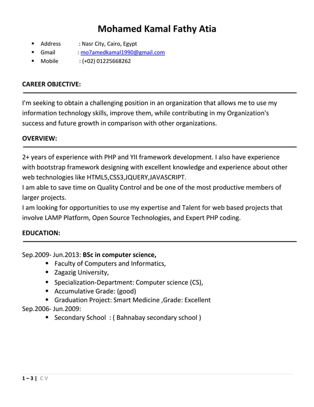 Mohamed Kamal's CV | PDF | Web Design and HTML | Internet