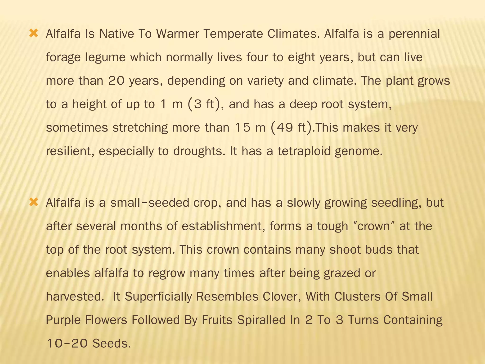 Alfalfa Seeds | PPTX