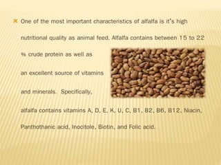 Alfalfa Seeds | PPTX