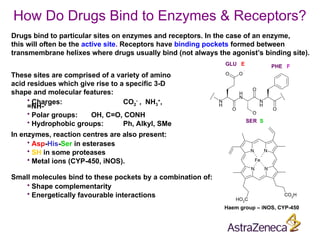 for drug design and calculations efficiency | PPT
