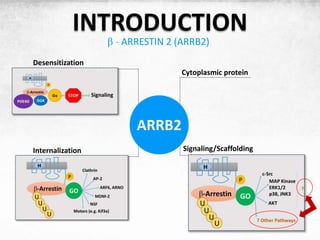Thesis defense - QUANG ONG - FINAL | PPT