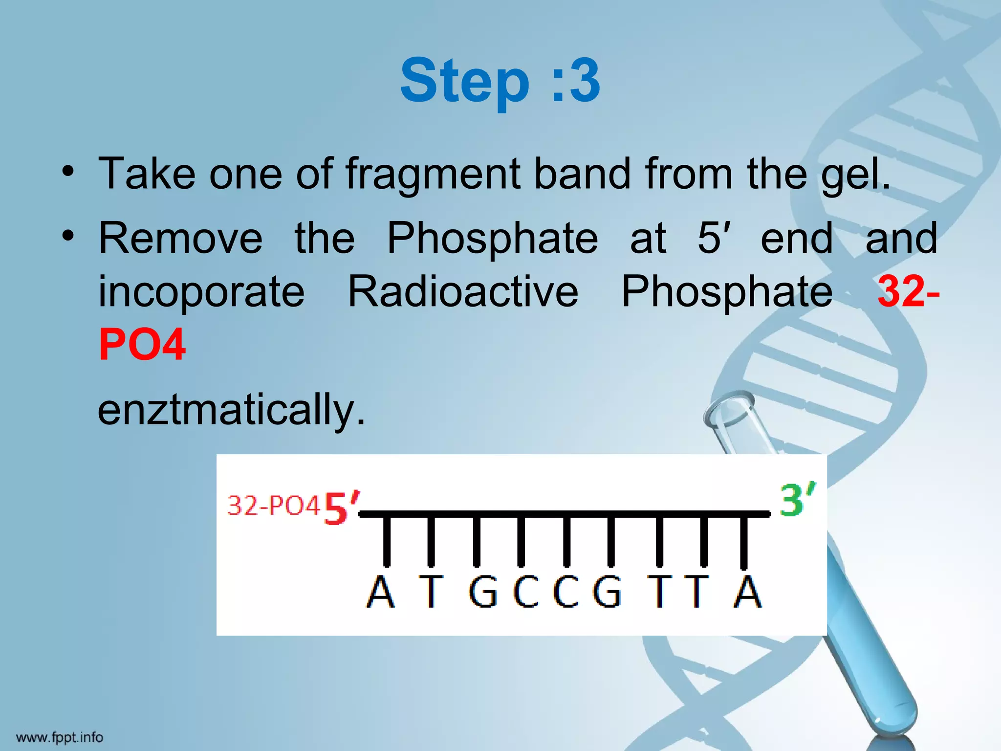 Maxam-Gilbert method of DNA sequencing | PPT
