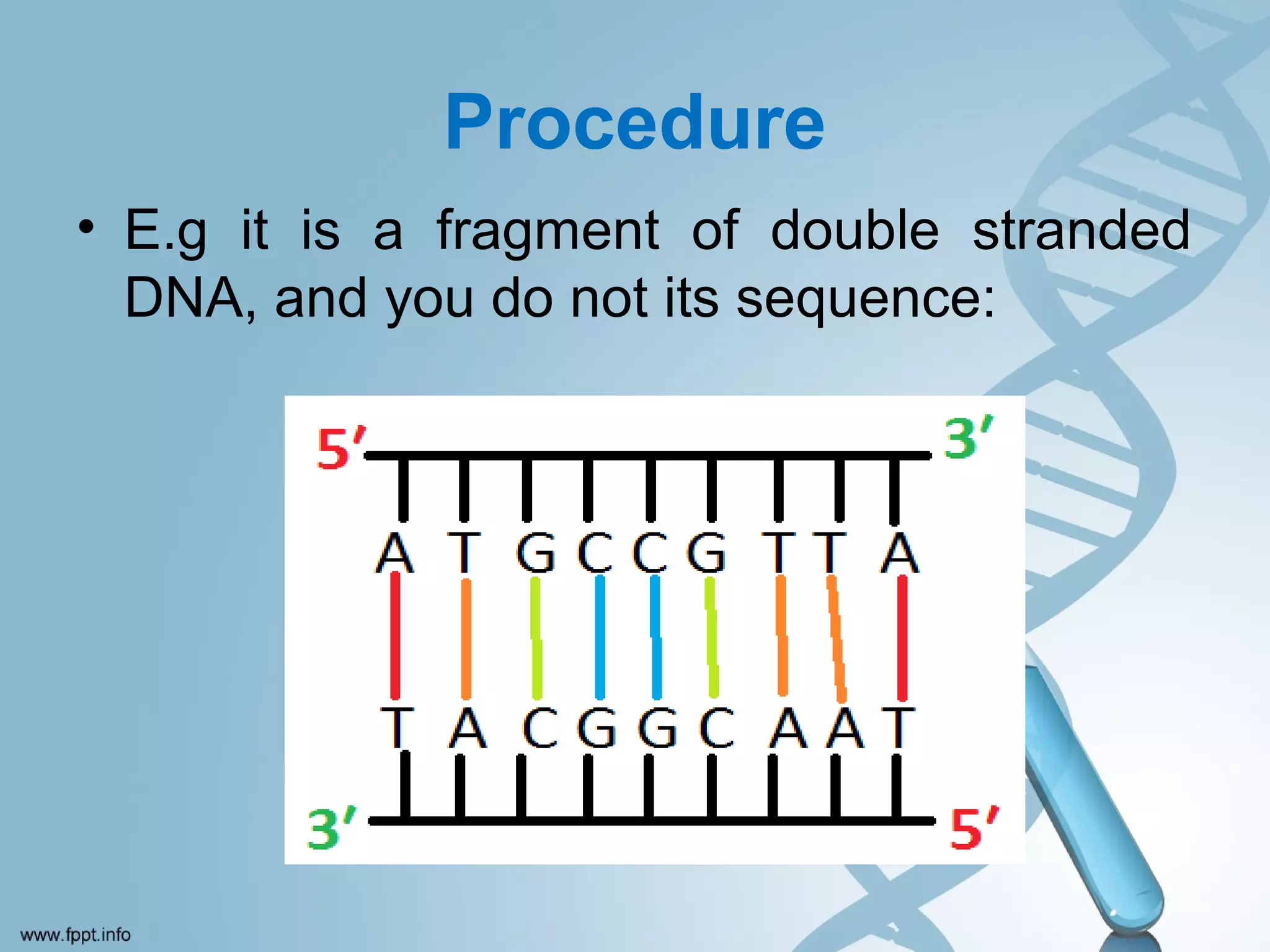 Maxam-Gilbert method of DNA sequencing | PPT