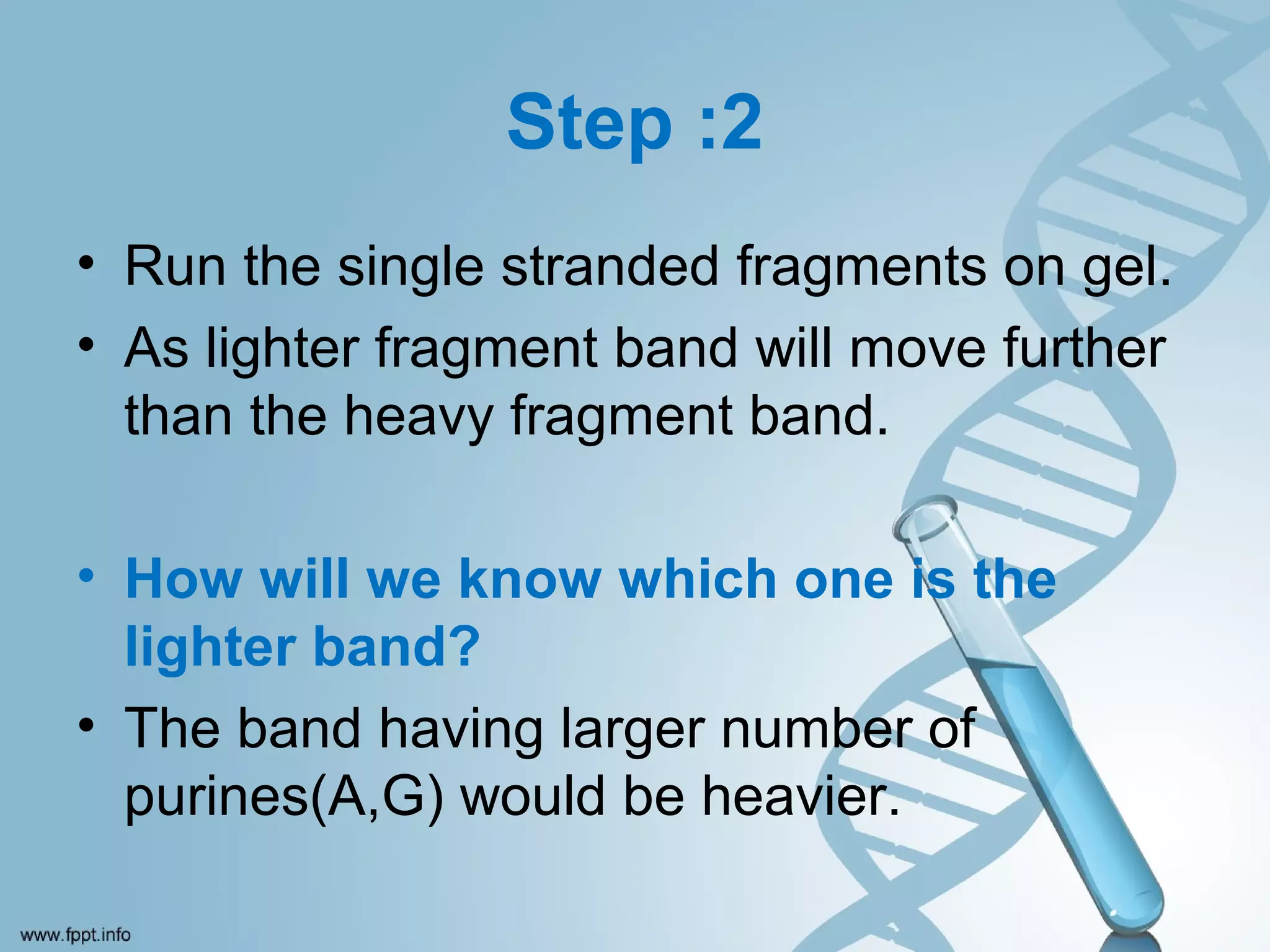 Maxam-Gilbert method of DNA sequencing | PPT