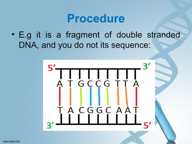 Maxam-Gilbert method of DNA sequencing | PPT | Chemistry | Science