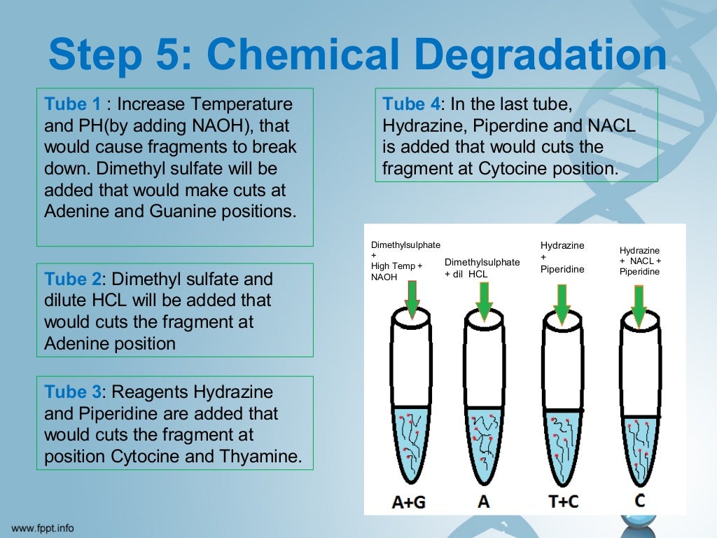 Maxam-Gilbert method of DNA sequencing