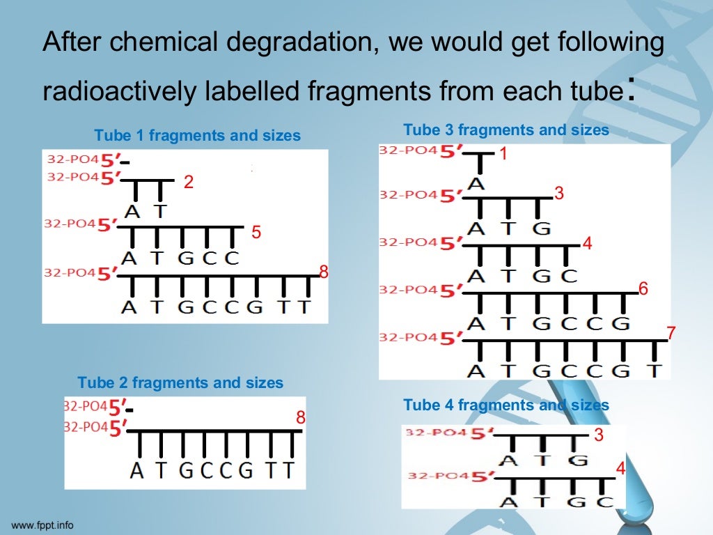 Maxam-Gilbert method of DNA sequencing