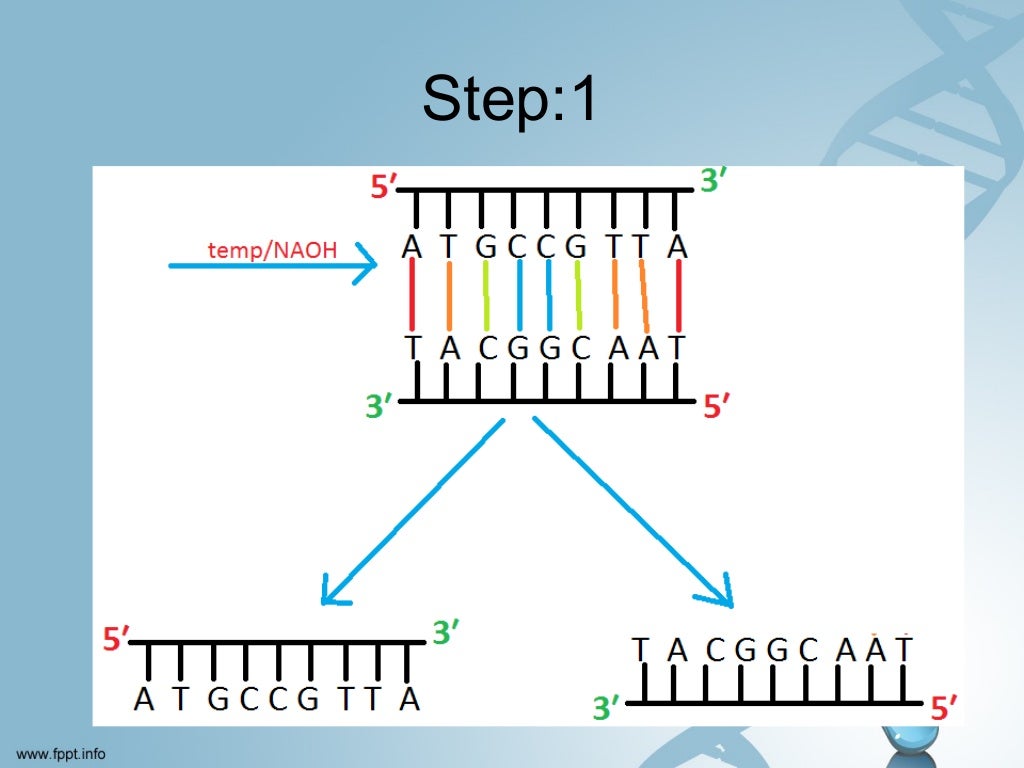 Maxam-Gilbert method of DNA sequencing