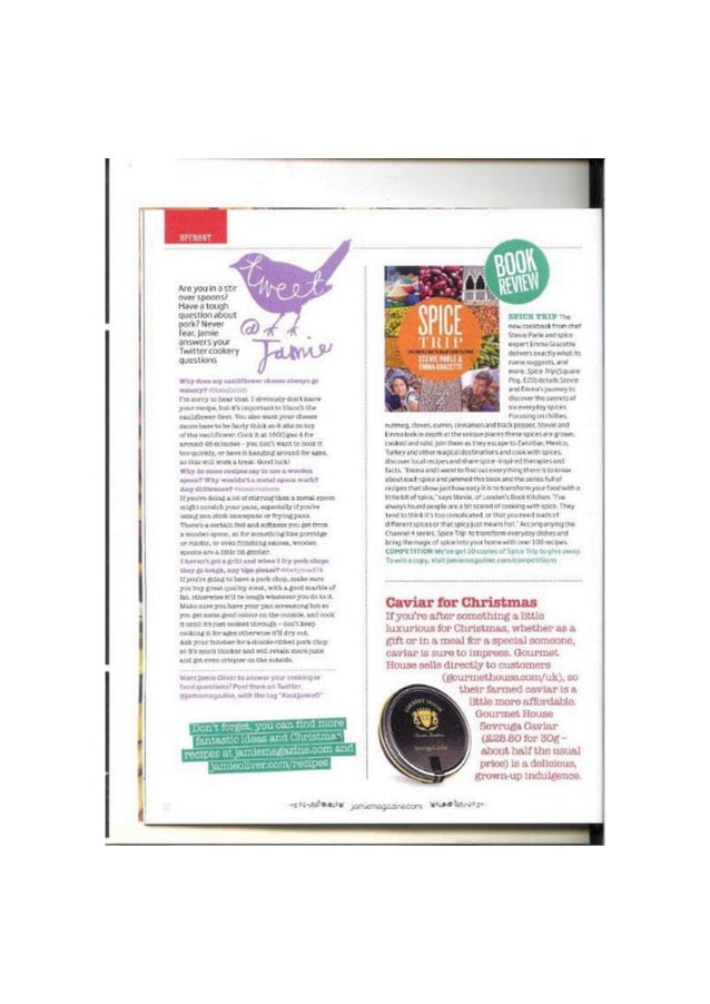 Jamie magazine book review | PDF