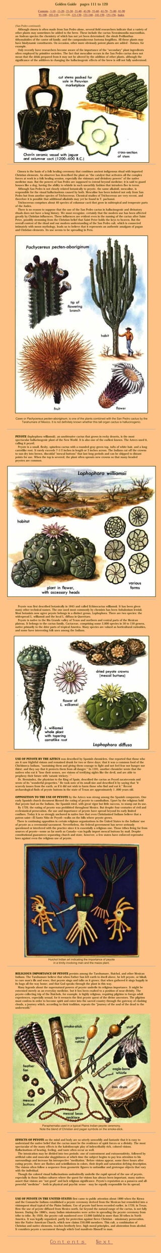 Plantas Alucinógenas. La Guia de Oro. Evan Schuld. | PDF