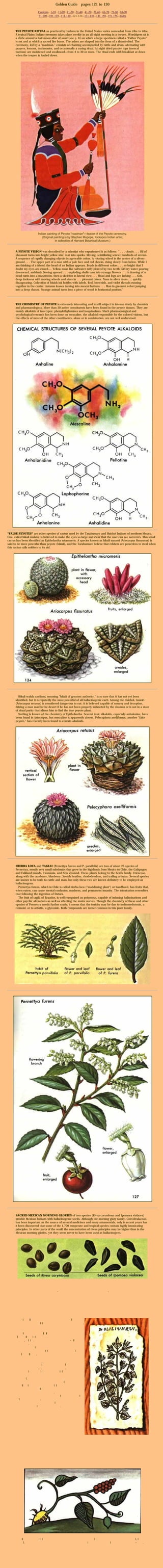 Plantas Alucinógenas. La Guia de Oro. Evan Schuld. | PDF