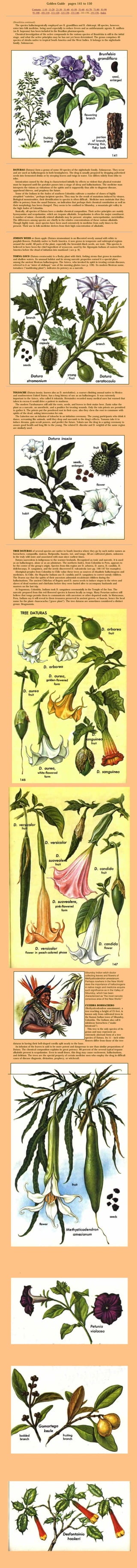 Plantas Alucinógenas. La Guia de Oro. Evan Schuld. | PDF