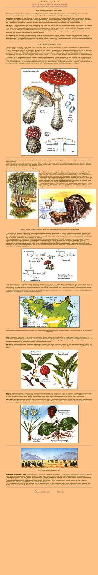 Plantas Alucinógenas. La Guia de Oro. Evan Schuld. | PDF
