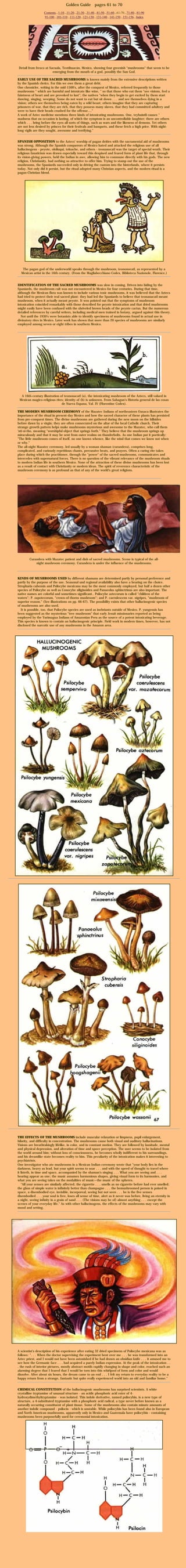 Plantas Alucinógenas. La Guia de Oro. Evan Schuld. | PDF