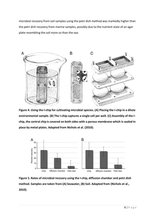 The Isolation Chip & Teixobactin | PDF