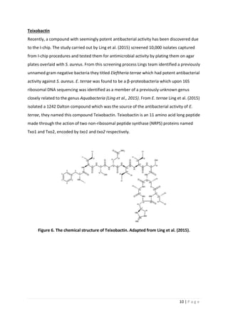 The Isolation Chip & Teixobactin | PDF