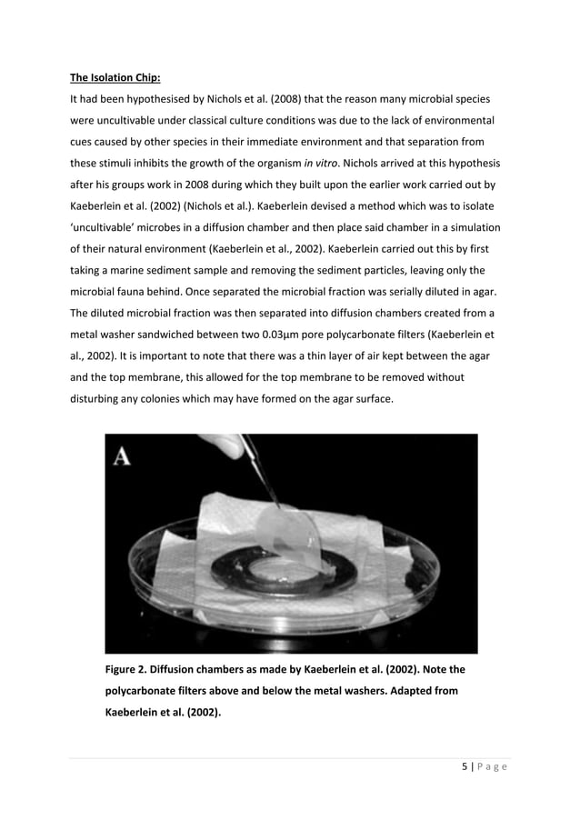 The Isolation Chip & Teixobactin | PDF