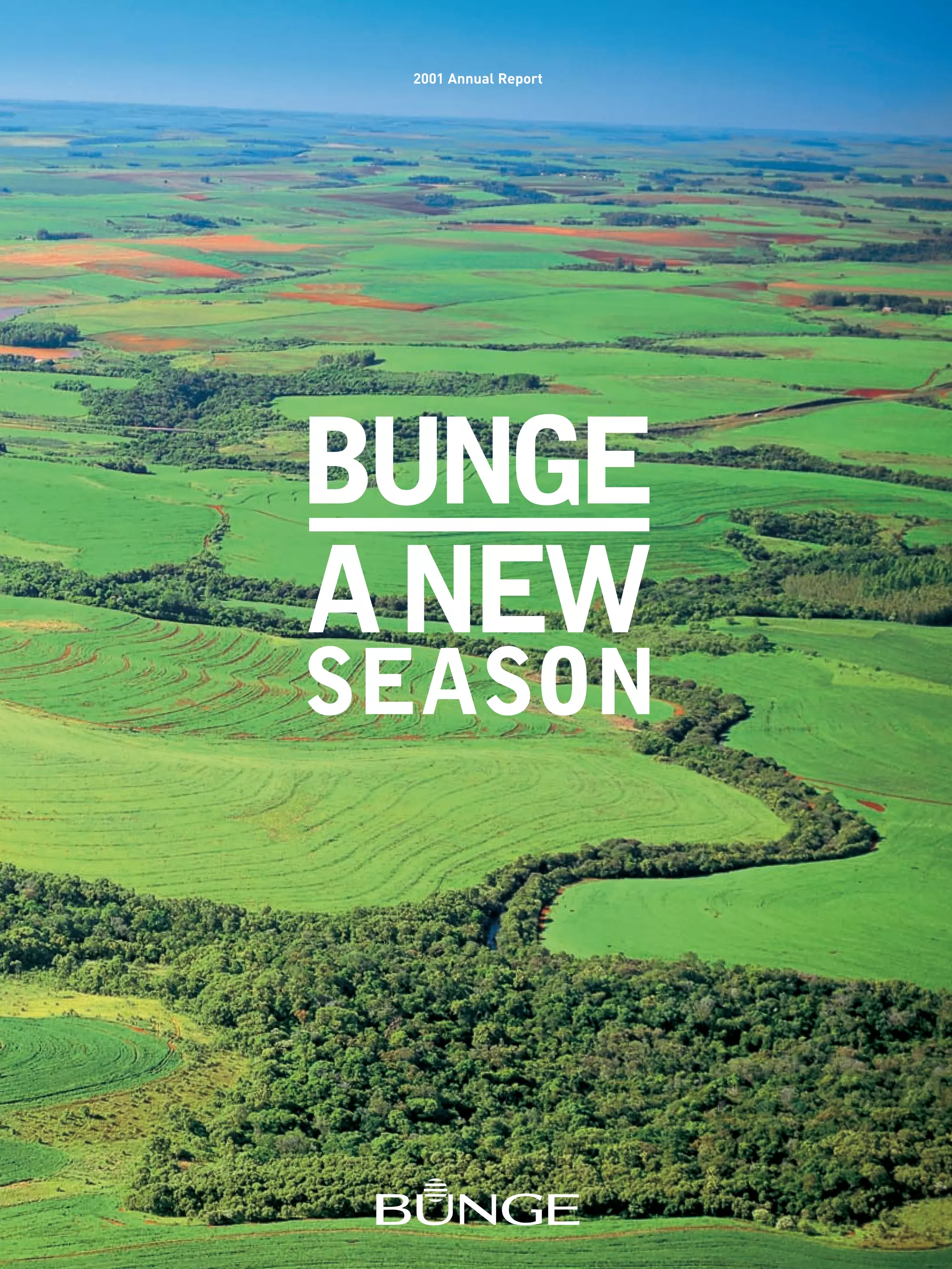 Bunge AR_2001 | PDF