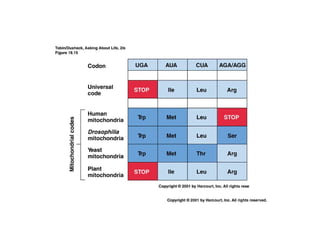 Prebiotic-molecular-evolution-rise-of-living-system-1.ppt