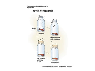 Prebiotic-molecular-evolution-rise-of-living-system-1.ppt