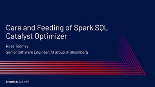 Care and Feeding of Catalyst Optimizer | PPT