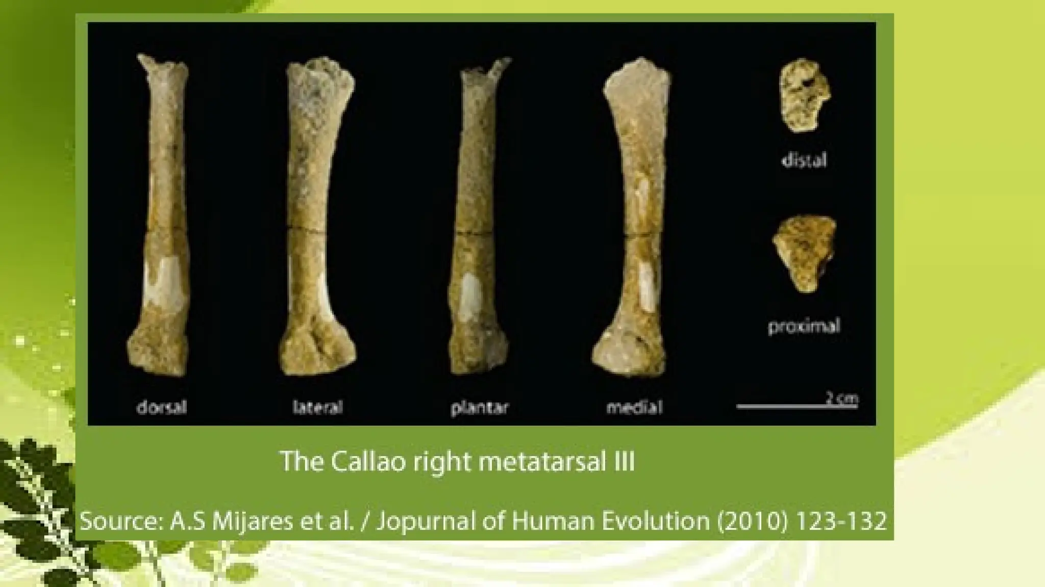 599437590-Aral-12-Teorya-ng-Pinagmulan-ng-Lahing-Pilipino.pptx