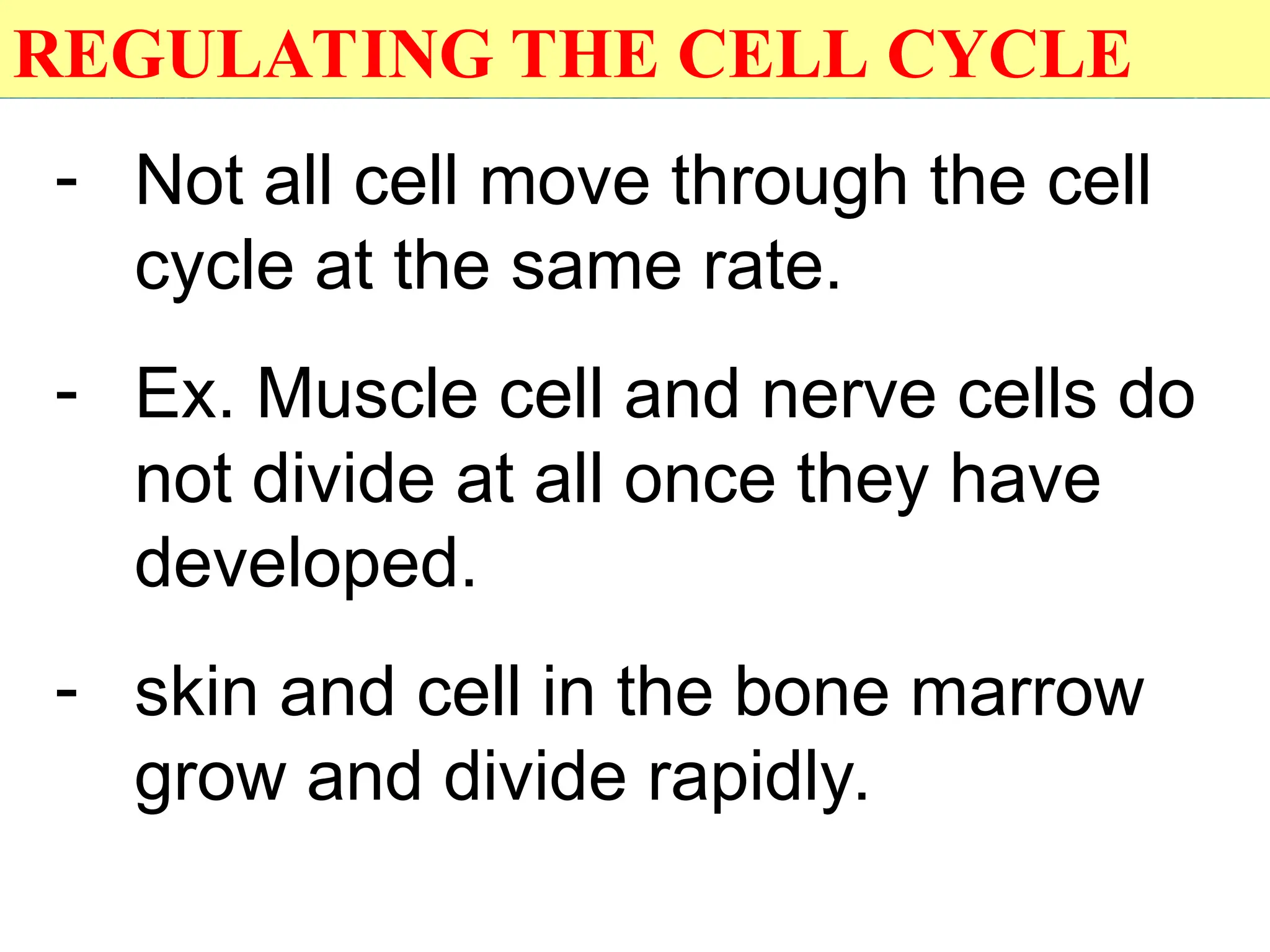 Cycle of A Cell in Biology first semester.ppt