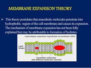 THEORIES OF GENERAL ANAESTHESIA | PPTX